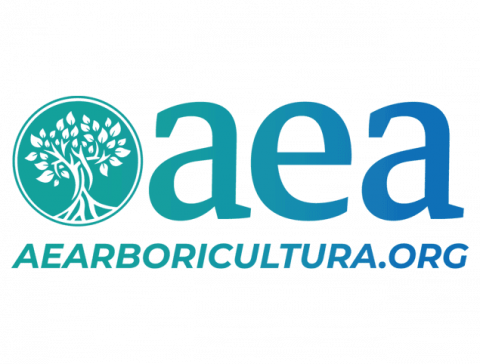 TALLER: ANÁLISIS Y DISEÑO DE CALLES ARBOLADAS - MADRID 2024 - SELGA ...